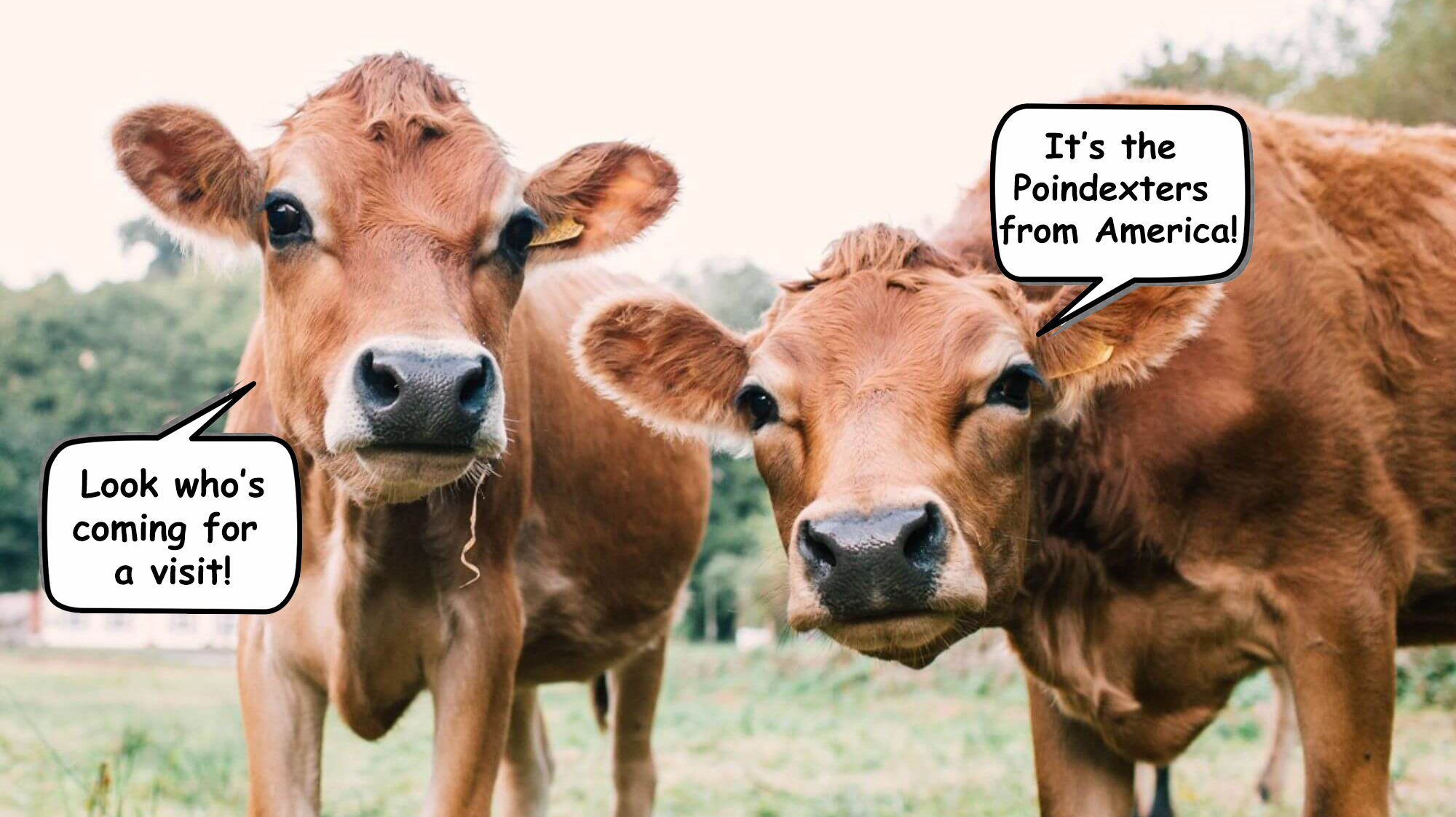 Poindexter Descendants Association